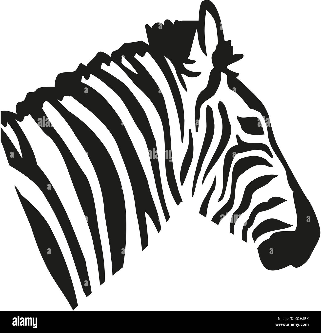 Zebra head view from side Stock Photo - Alamy