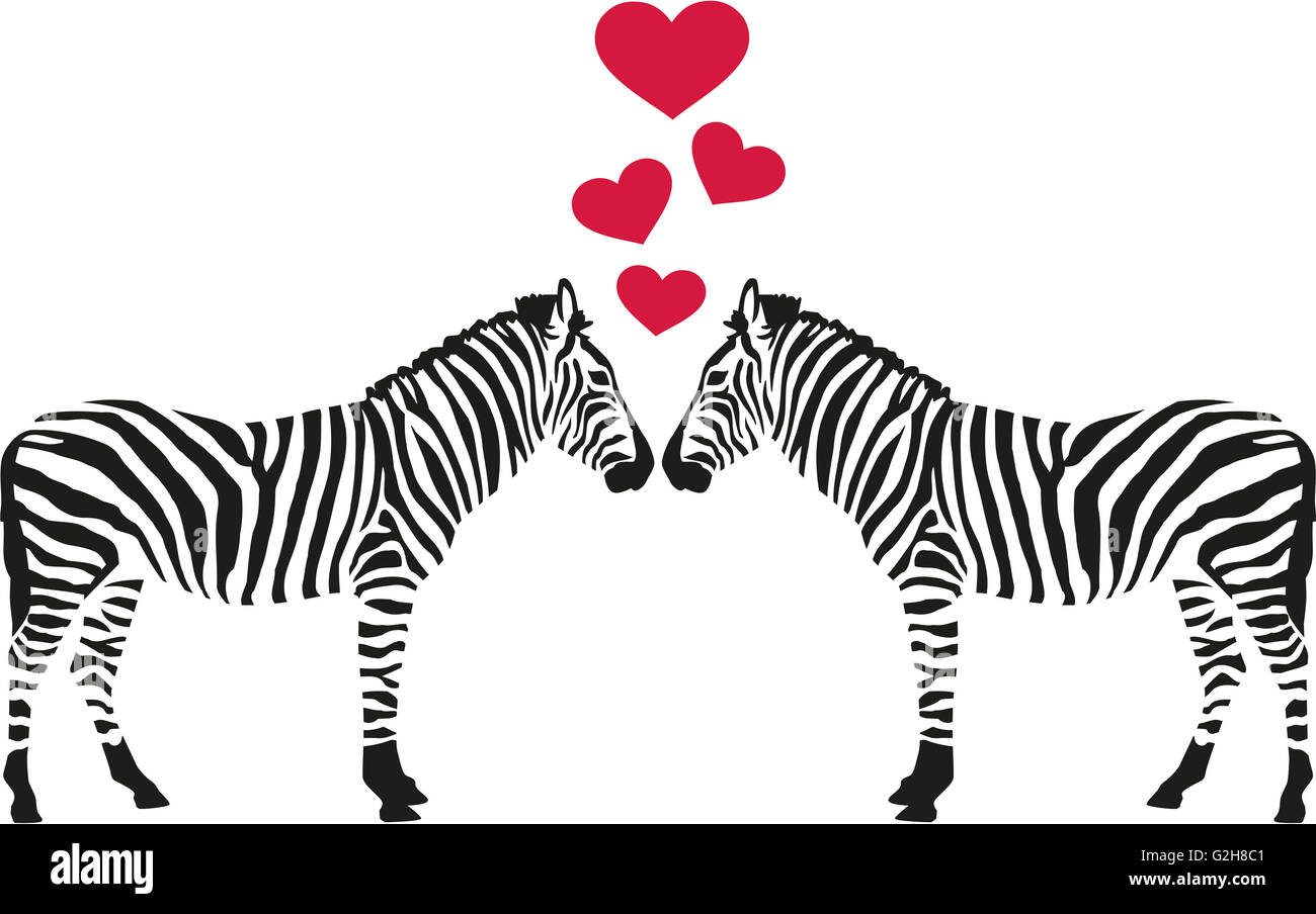 Two zebras in love with hearts Stock Photo - Alamy