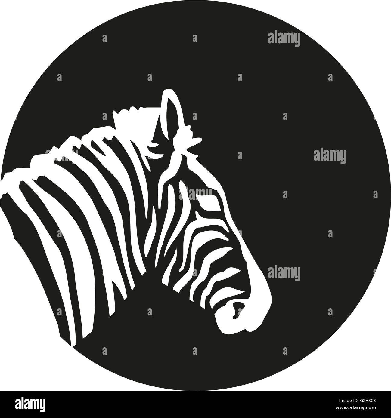 Zebra in jungle hi-res stock photography and images - Alamy