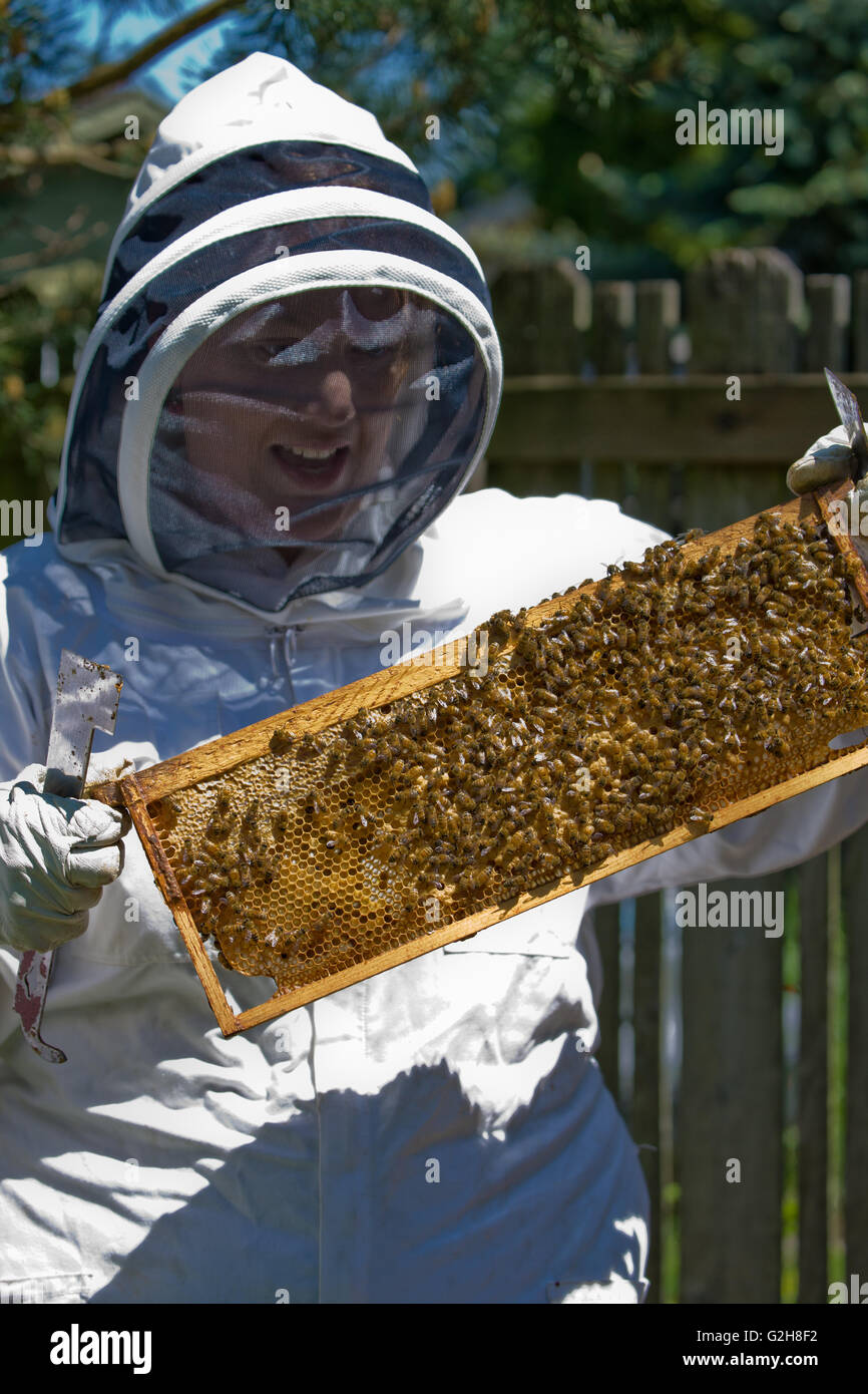 Woman beekeeper checking the health of the honey in a frame in Seattle ...