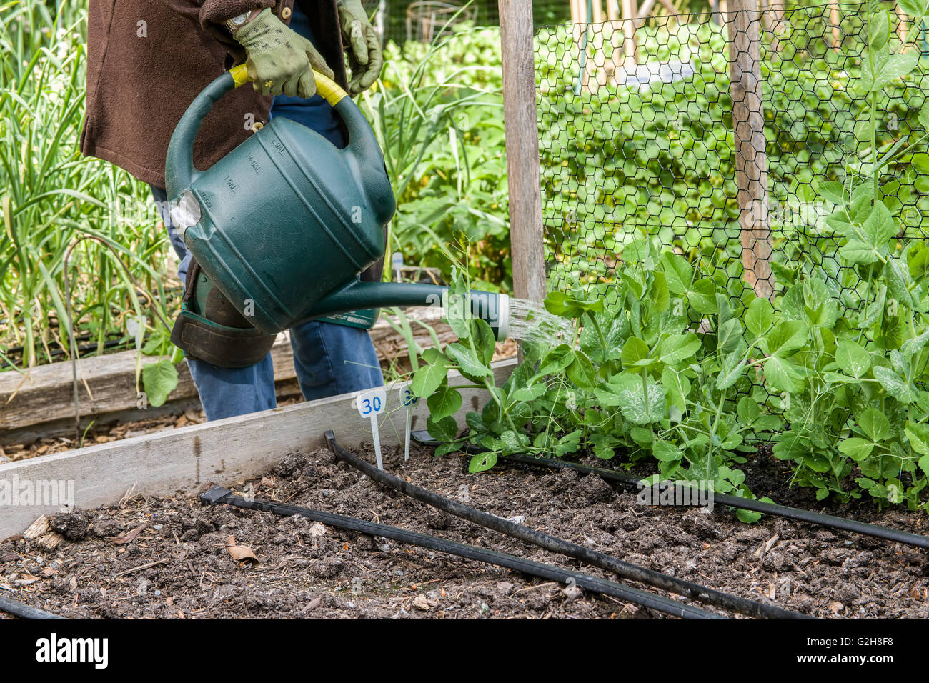 Sixtyish woman hi-res stock photography and images - Alamy