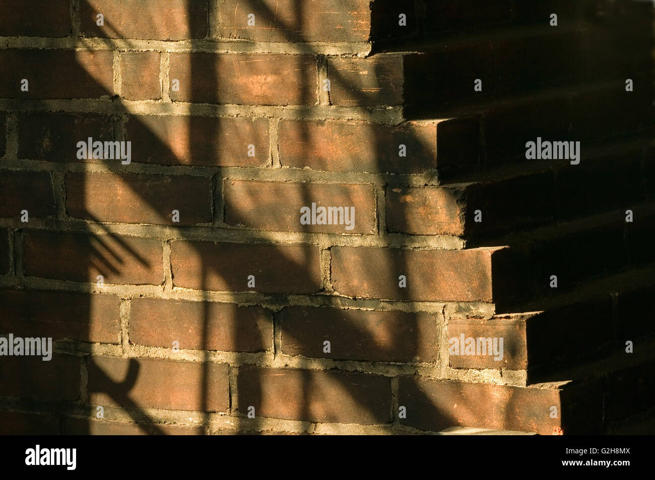 Window pane shadows on brick wall, taken in the Blacksmith Shop in ...