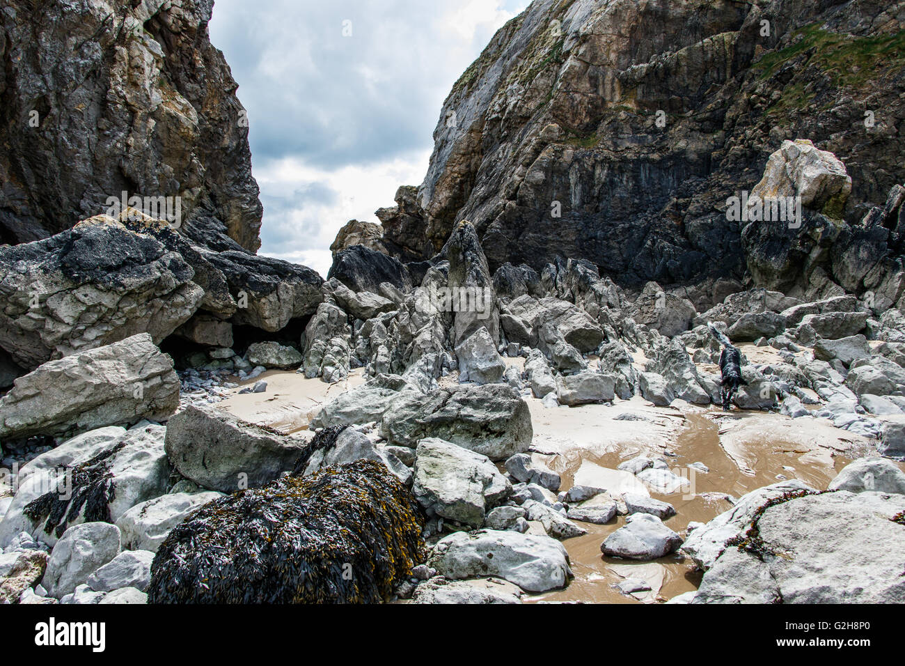 Broadhaven beach hi-res stock photography and images - Alamy