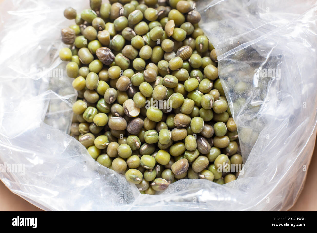 Plastic green bag hi-res stock photography and images - Alamy