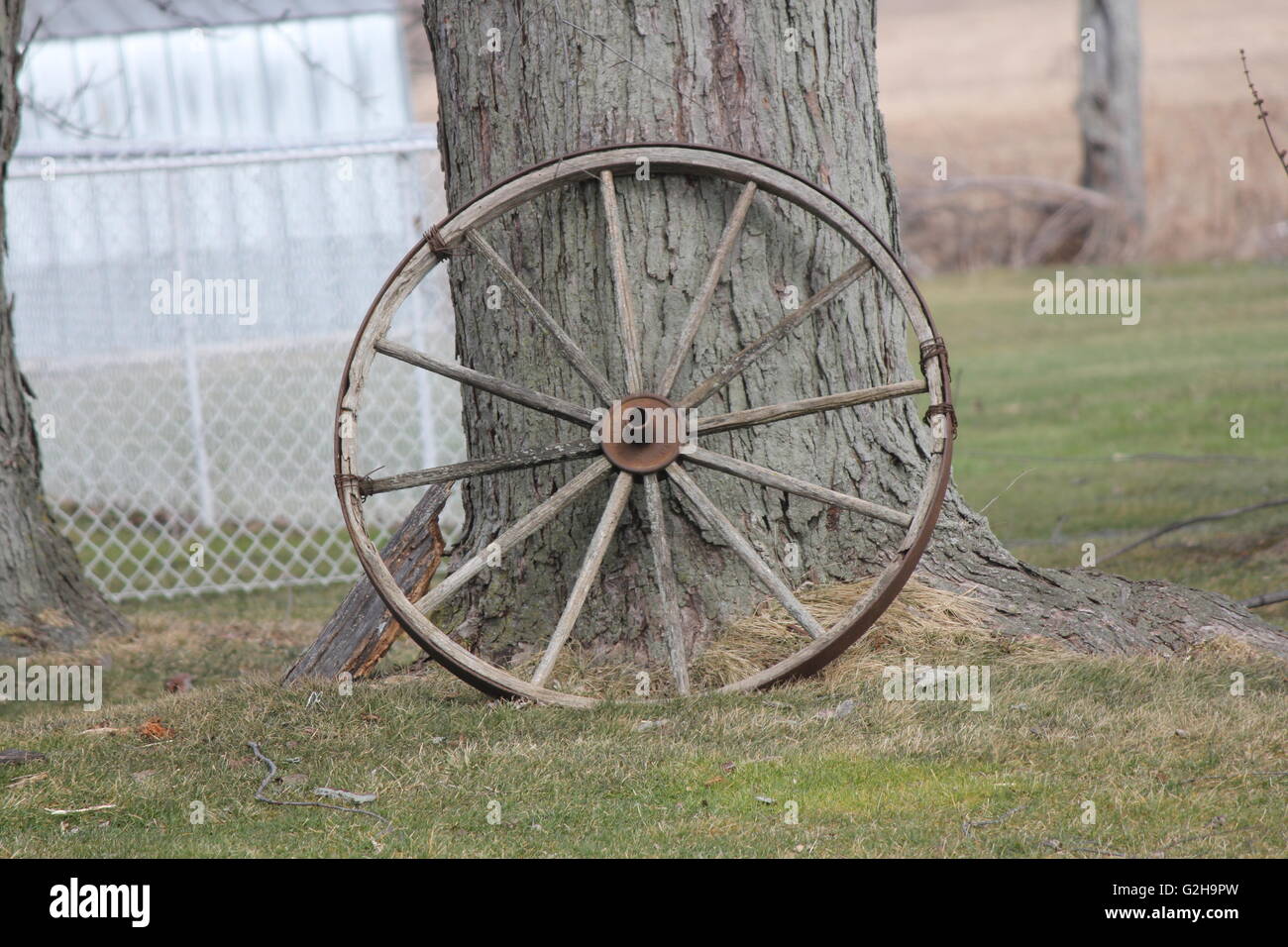 A vintage wagon wheel leaning against a tree Stock Photo - Alamy