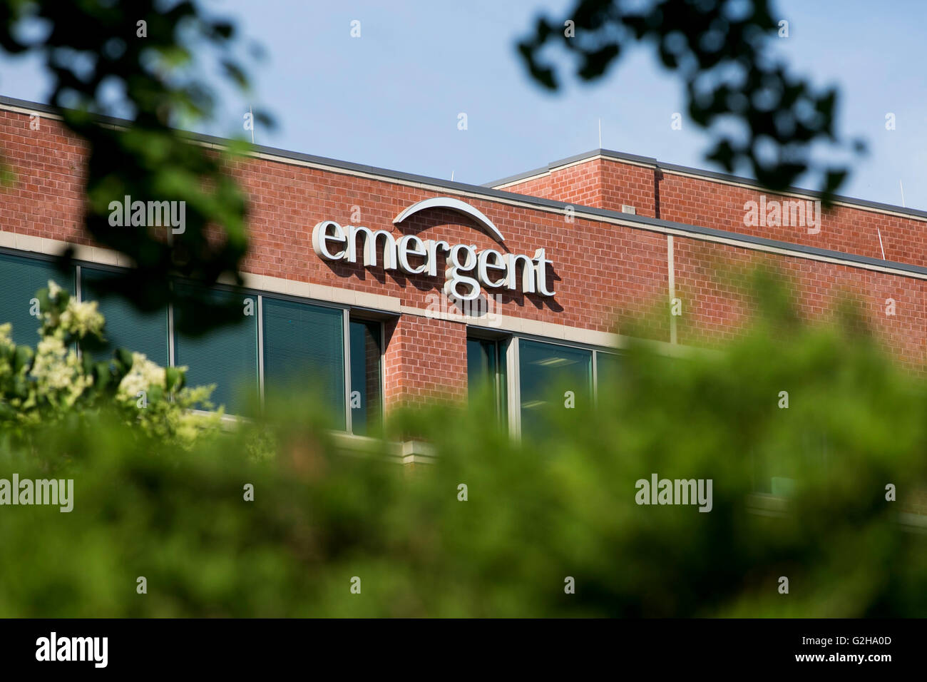 Emergent hi-res stock photography and images - Alamy