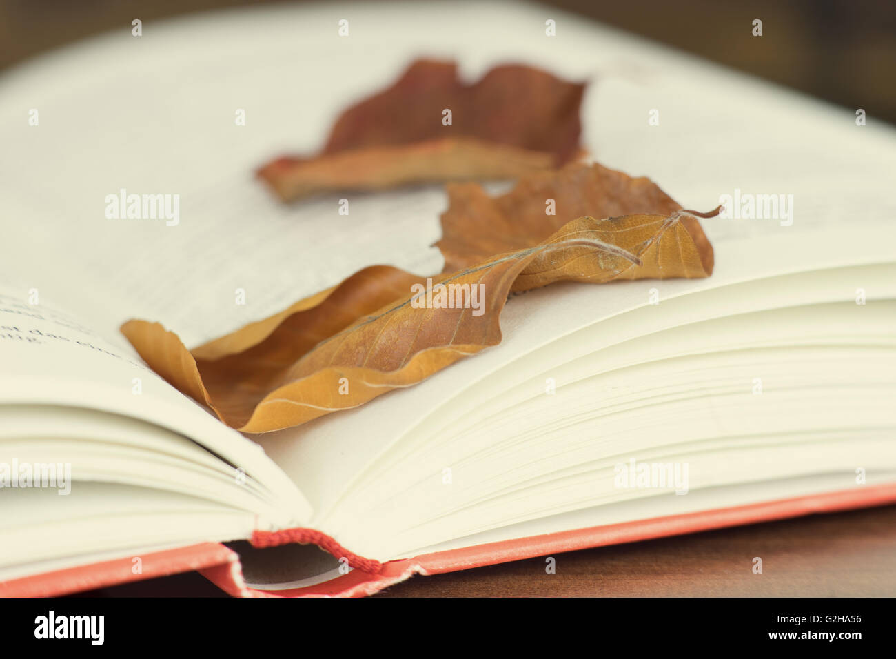 Close up of an open book with autumn leaves Stock Photo - Alamy