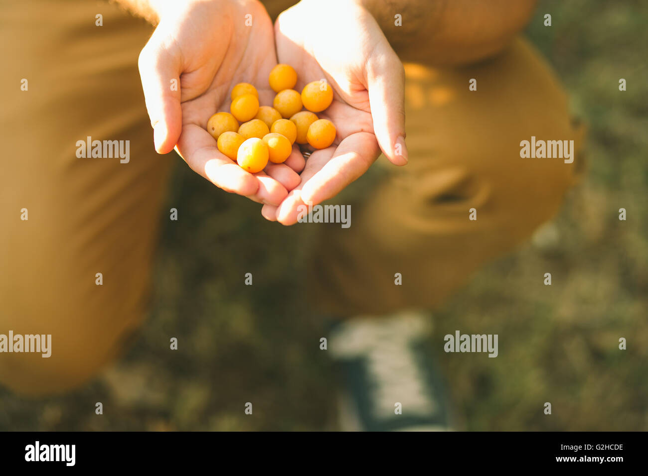 Handpicked for you hi-res stock photography and images - Alamy