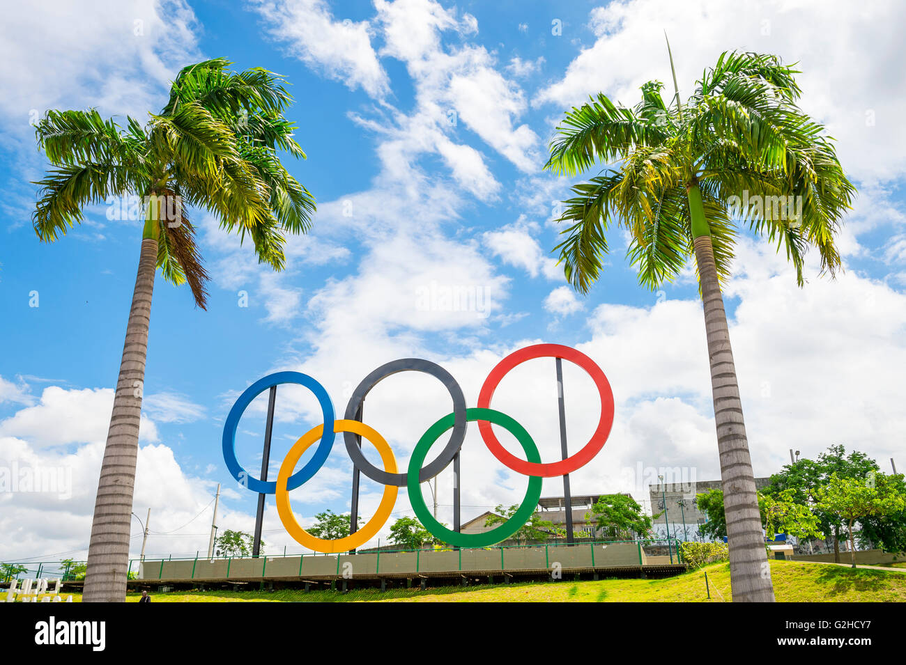 RIO DE JANEIRO - MARCH 18, 2016: Olympic rings stand next to tall palm ...