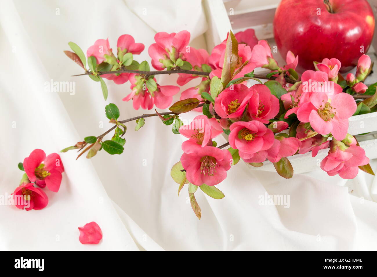 Japanese rose flowers on white silk fabric Stock Photo - Alamy