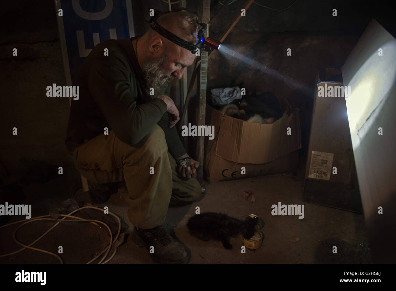 Sick newt hi-res stock photography and images - Alamy