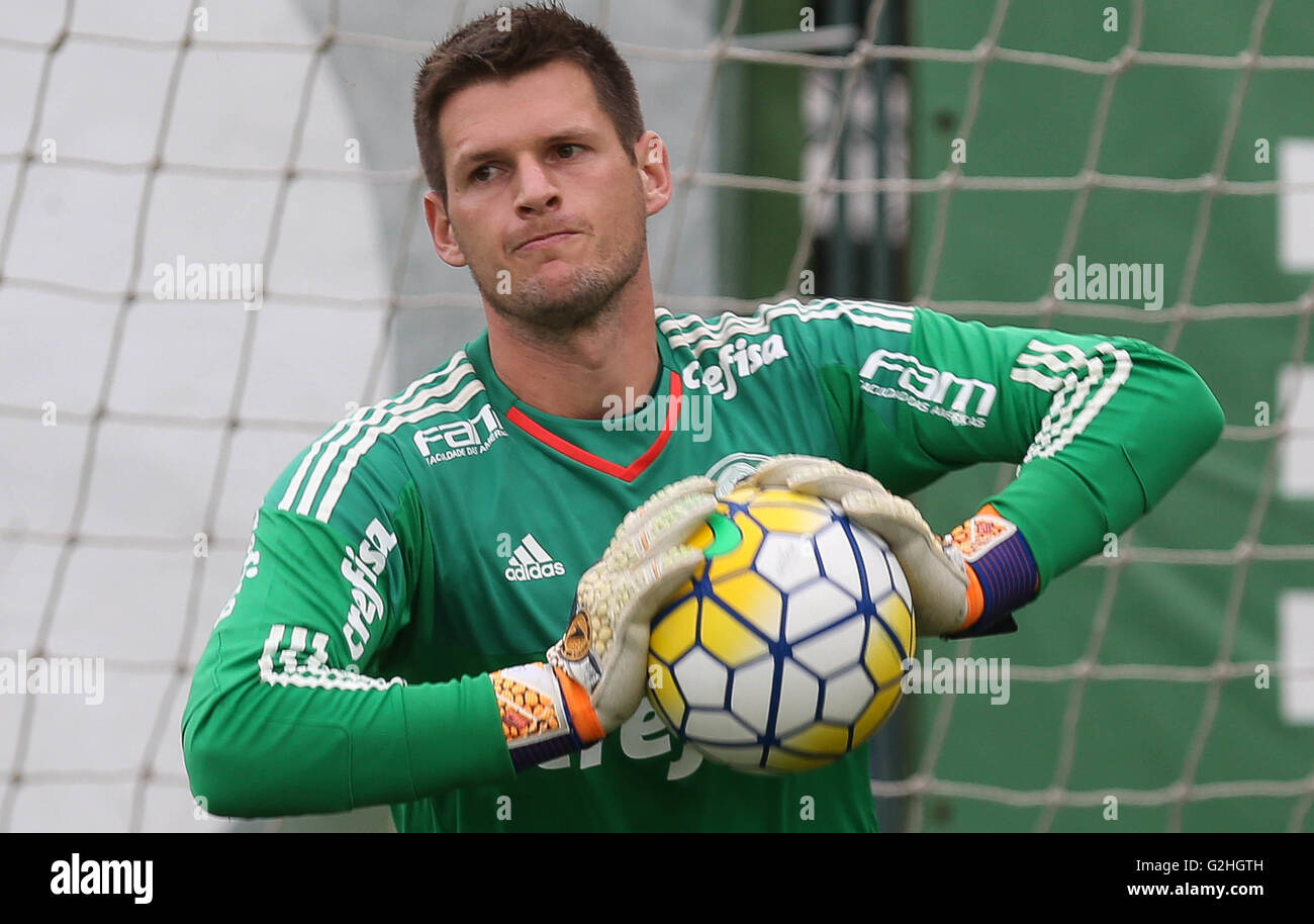 SAO PAULO, Brazil - 05/30/2016: TRAINING OF PALM TREES - Goalkeeper ...