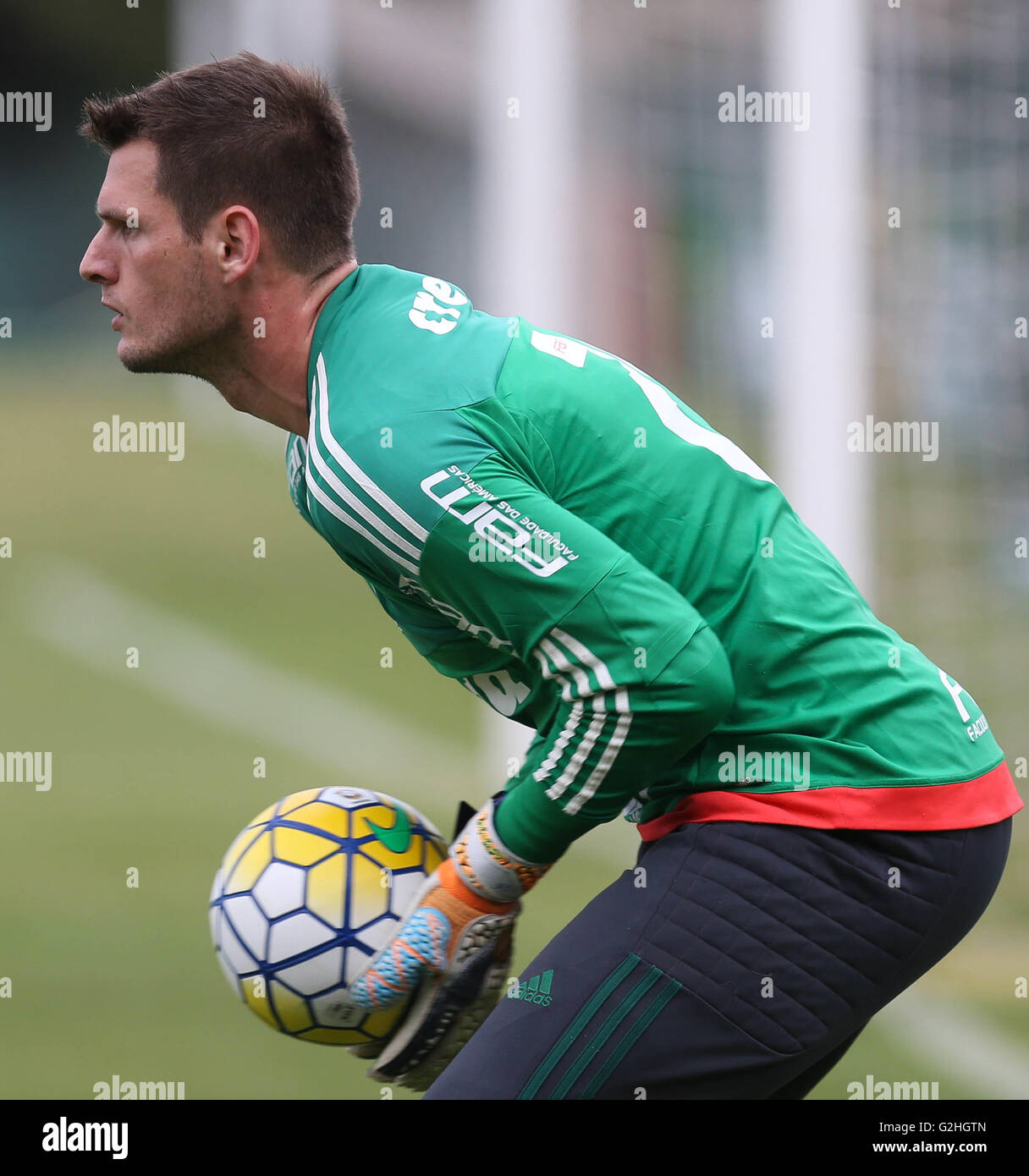 SAO PAULO, Brazil - 05/30/2016: TRAINING OF PALM TREES - Goalkeeper ...