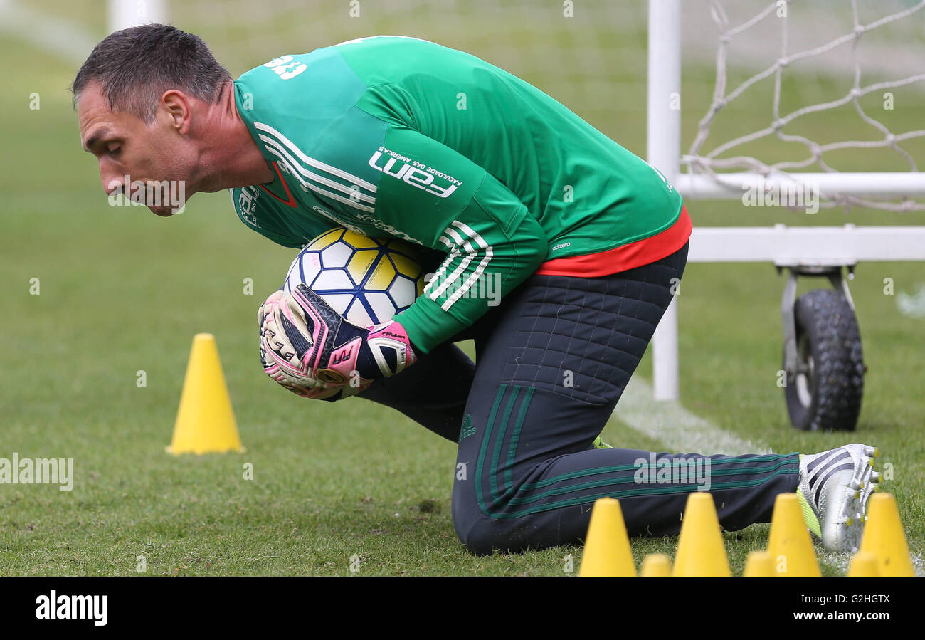SAO PAULO, Brazil - 30/05/2016: TRAINING OF TREES - The goalkeeper ...