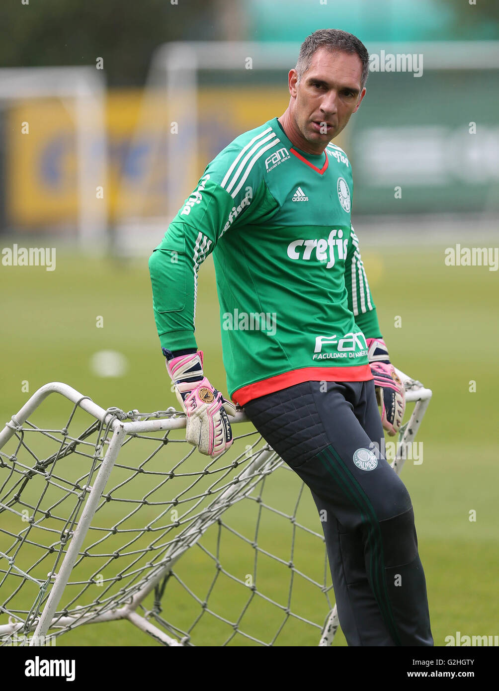 SAO PAULO, Brazil - 30/05/2016: TRAINING OF TREES - The goalkeeper ...