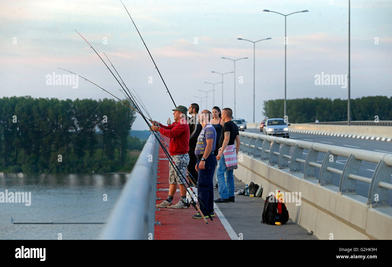 Danube bridge belgrade china hi-res stock photography and images - Alamy