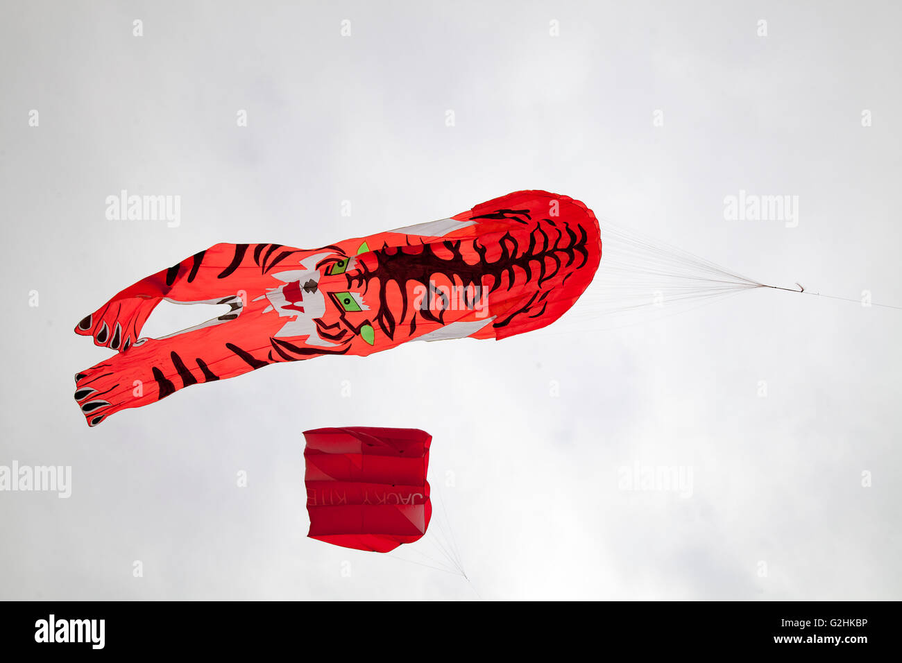 Jilin, China's Jilin Province. 30th May, 2016. A tiger-shaped kite ...
