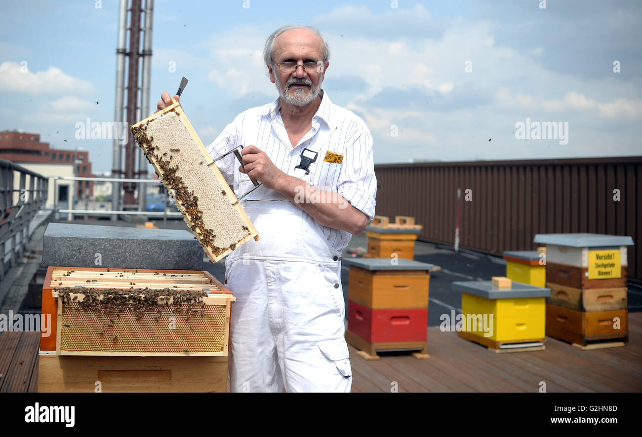 Berlin, Germany. 31st May, 2016. Beekeeper Josef Rainhard, instructor ...