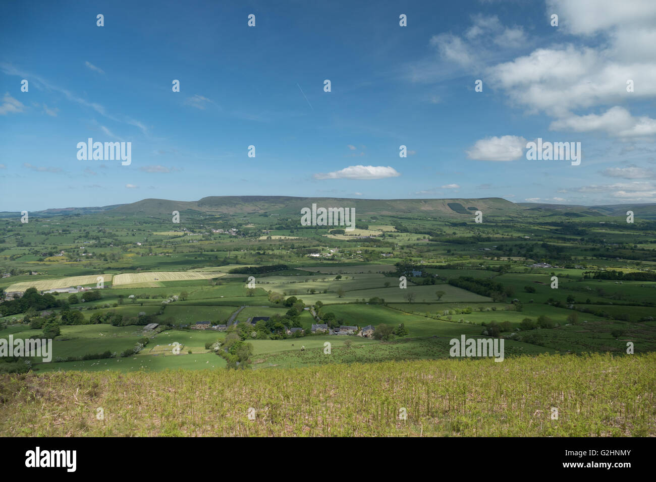 Longridge, Lancashire, UK. 31st May 2016. UK Weather: Fine, sunny and ...
