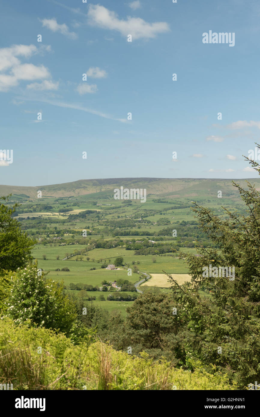 Longridge, Lancashire, UK. 31st May 2016. UK Weather: Fine, sunny and ...