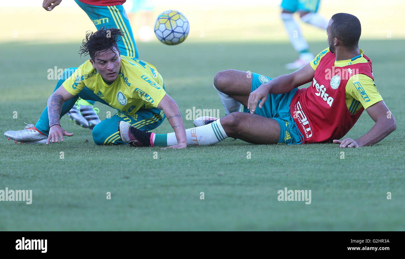 SAO PAULO, Brazil - 31/05/2016: TRAINING OF PALM TREES - Players Arthur ...