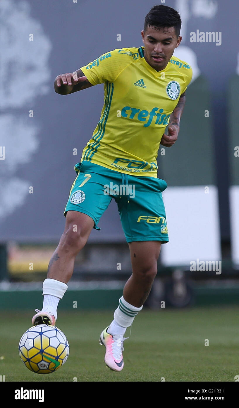 SAO PAULO, Brazil - 31/05/2016: TRAINING OF PALM TREES - Dudu player ...