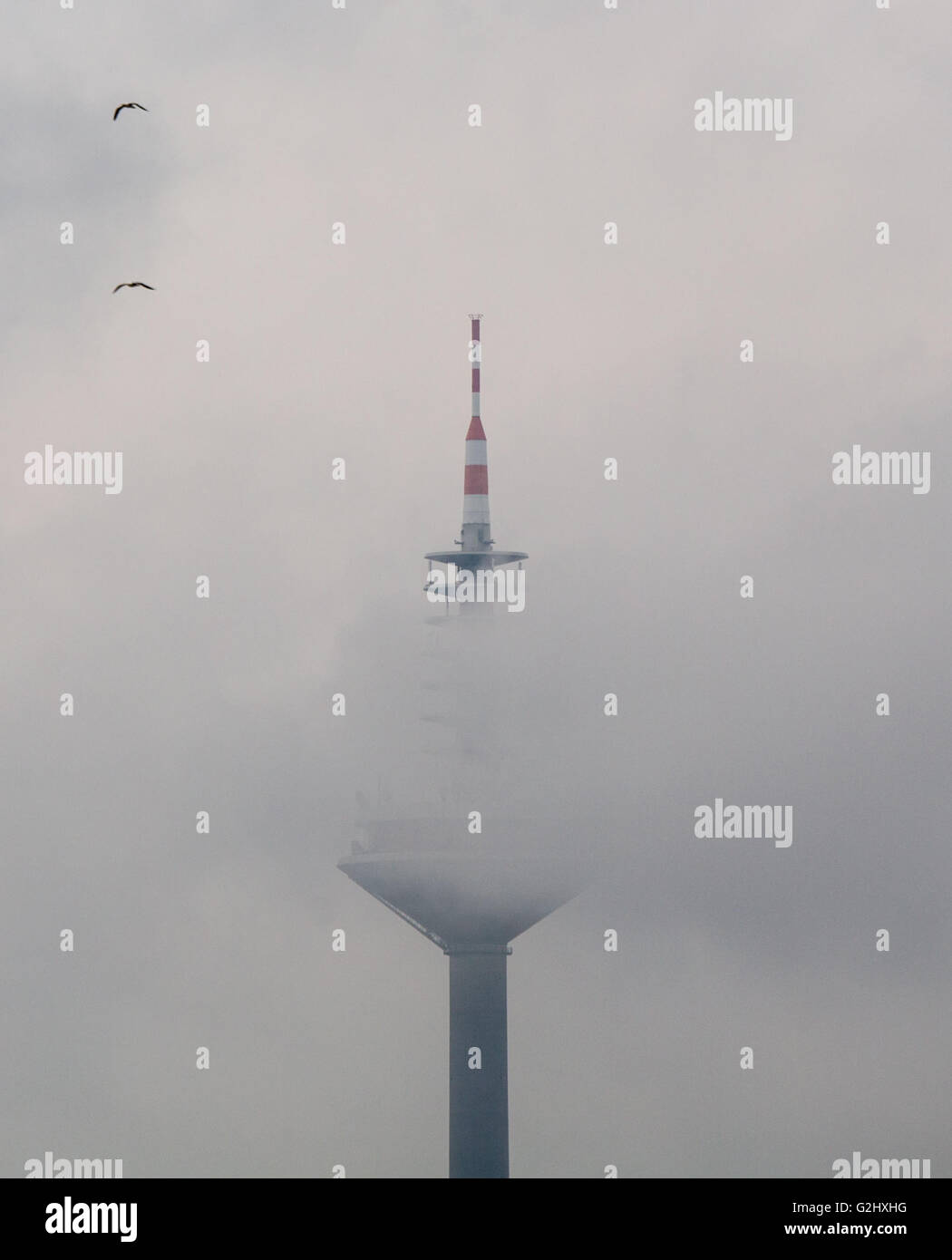 The telecommunications tower, officially called the Europaturm, is ...