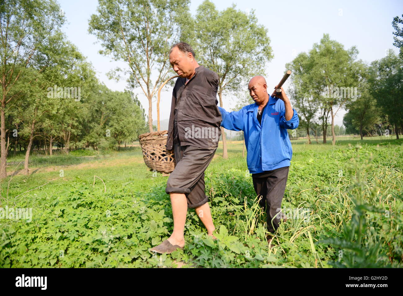 Jia Wenqi High Resolution Stock Photography and Images - Alamy