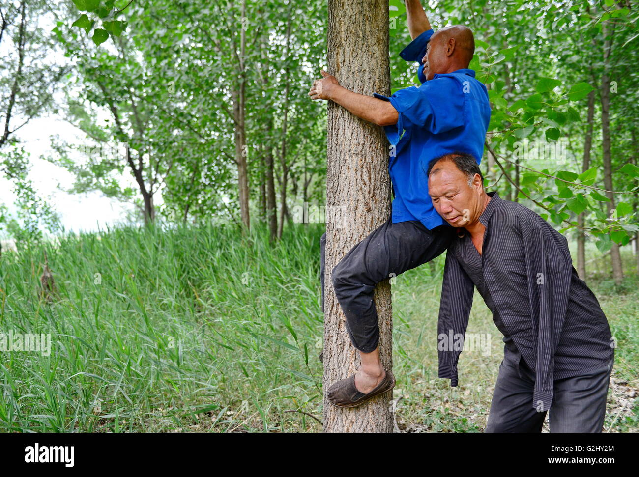 Jia Wenqi High Resolution Stock Photography and Images - Alamy