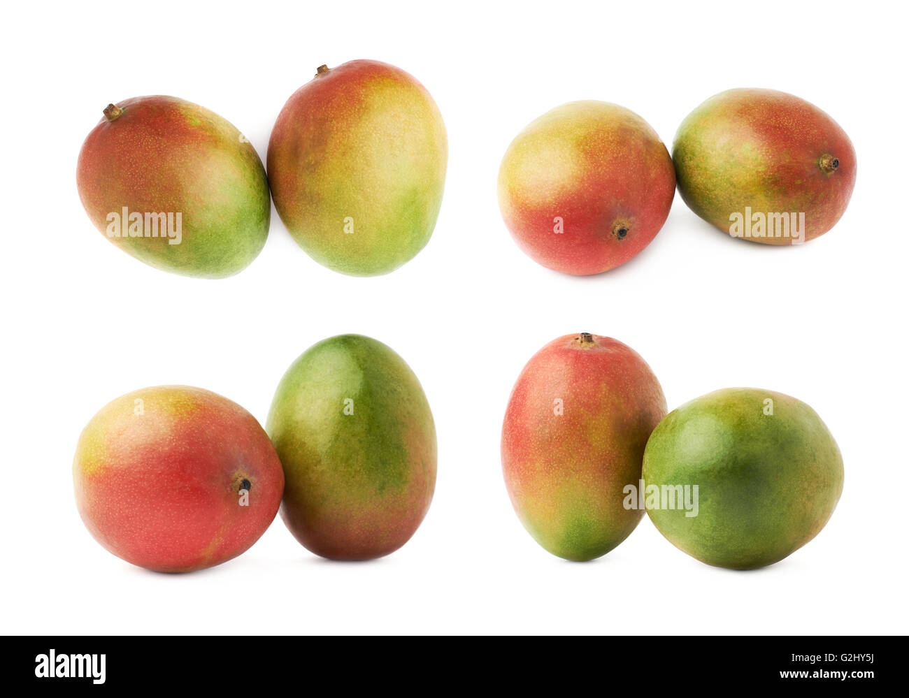 Two mango fruits isolated Stock Photo - Alamy