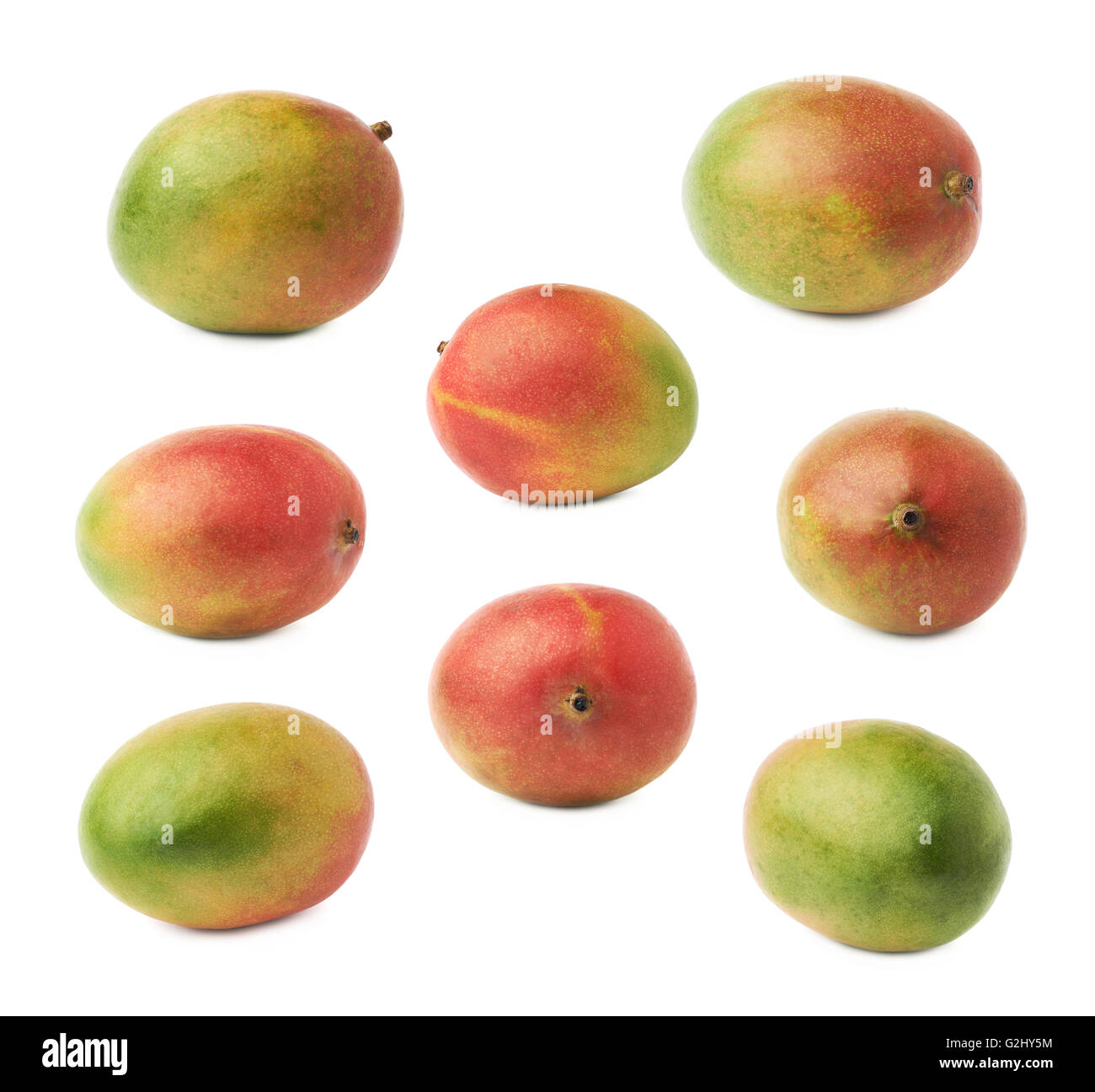 Single mango fruit isolated Stock Photo - Alamy