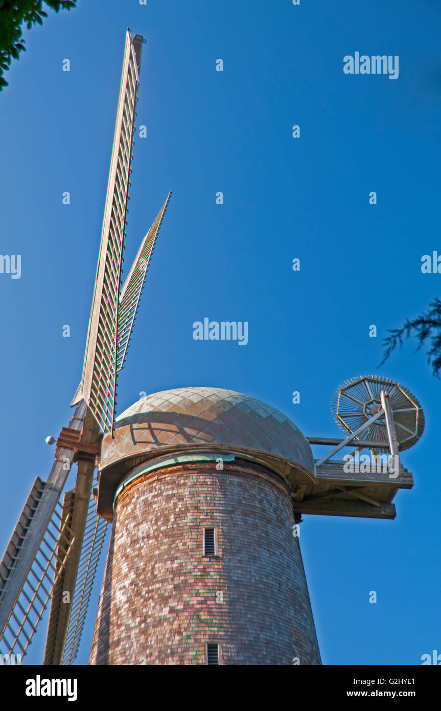 Queen Wilhelmina Dutch windmill, located in the Tulip Garden at Golden ...