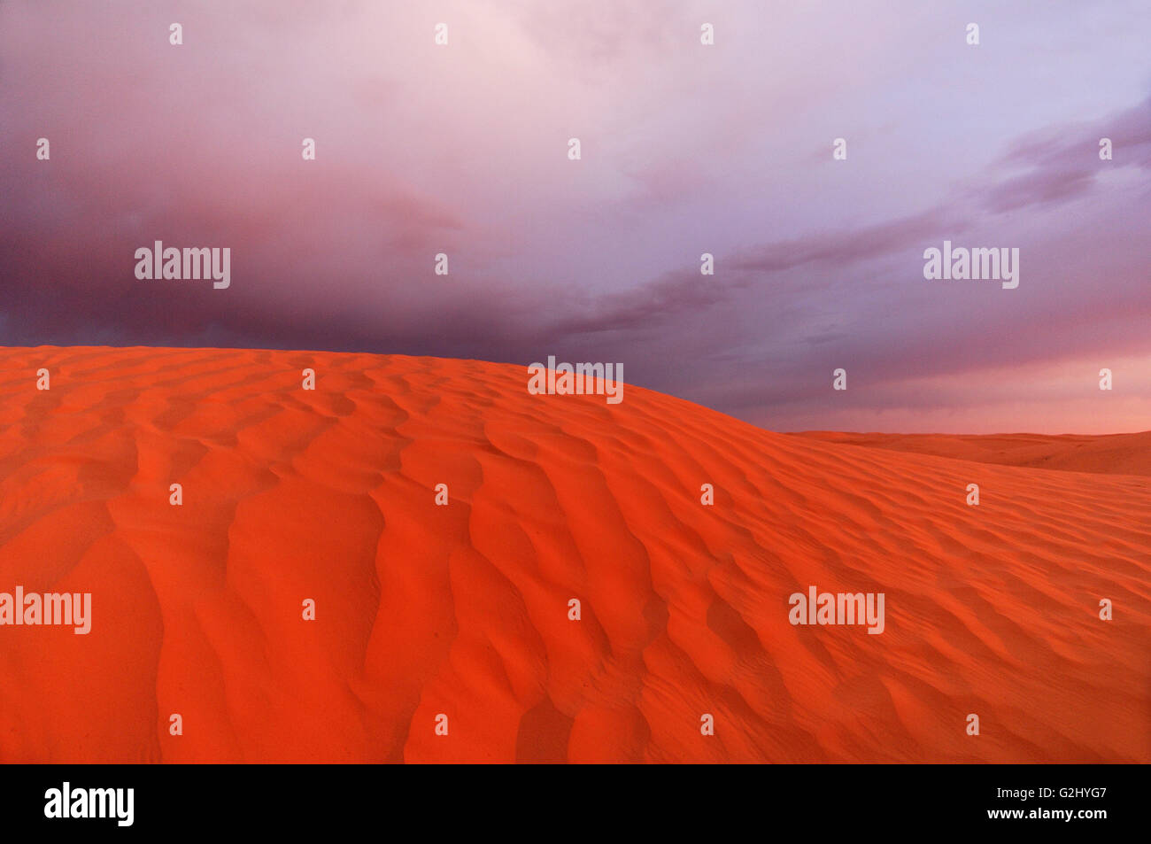 Sand dunes in the sahara desert at sunrise hi-res stock photography and ...
