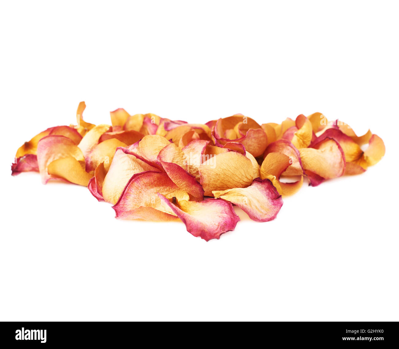 Pile of pink rose petals as a romantic composition over white ...