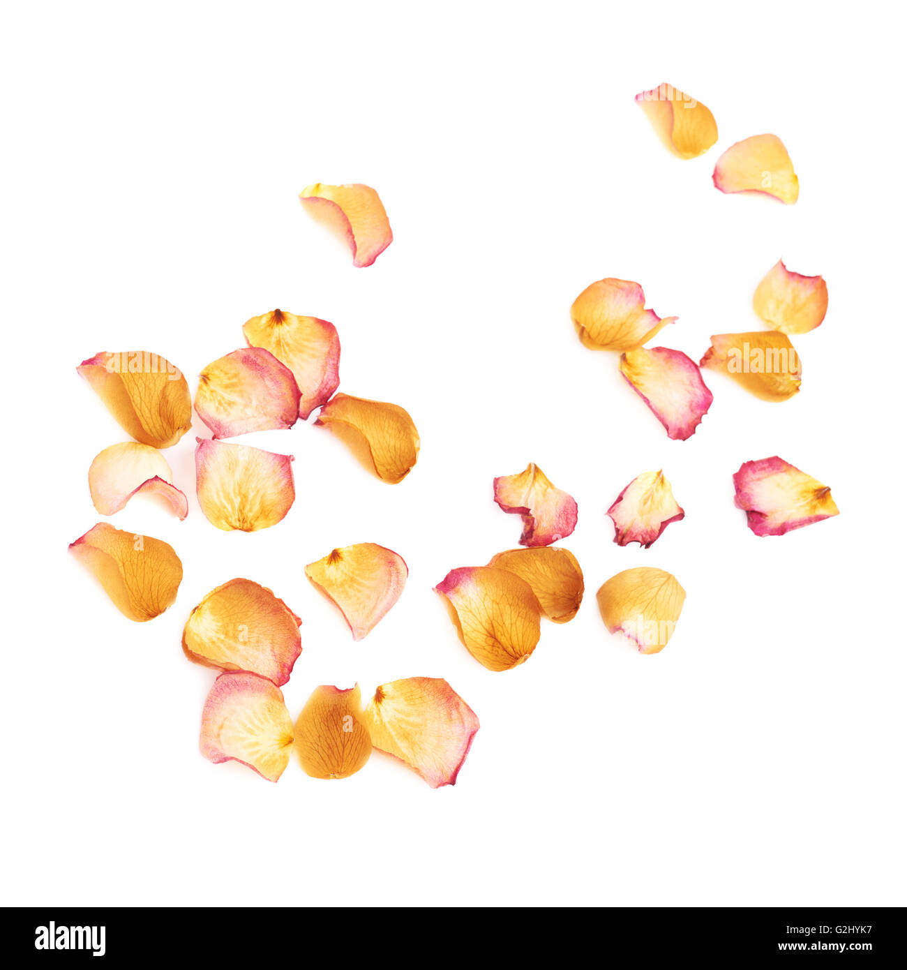 Dead rose petals hi-res stock photography and images - Alamy