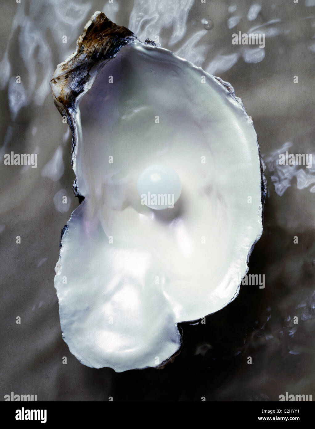 Pearl oyster shell hi-res stock photography and images - Alamy