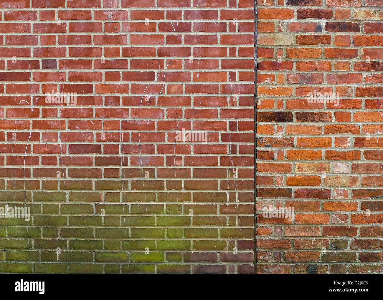 Background of two brick walls with gap between and green moss texture ...
