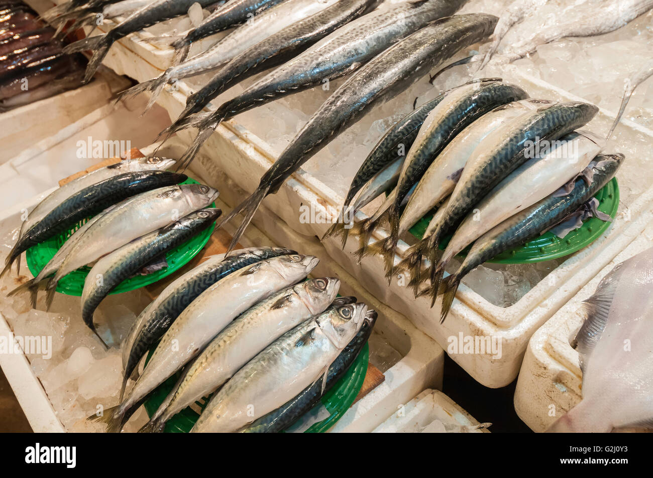 Noryangjin fish market seoul hi-res stock photography and images - Alamy