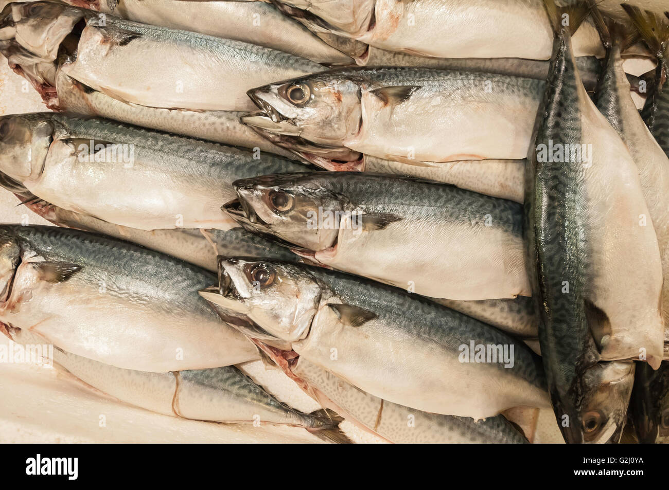 Fish for sale, Noryangjin fish market, Seoul, South Korea Stock Photo ...