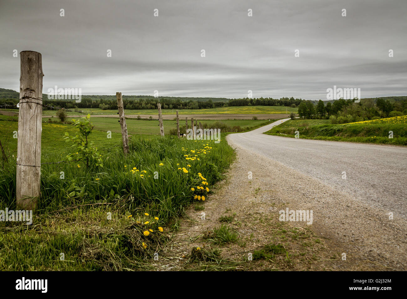 Country and field hi-res stock photography and images - Alamy