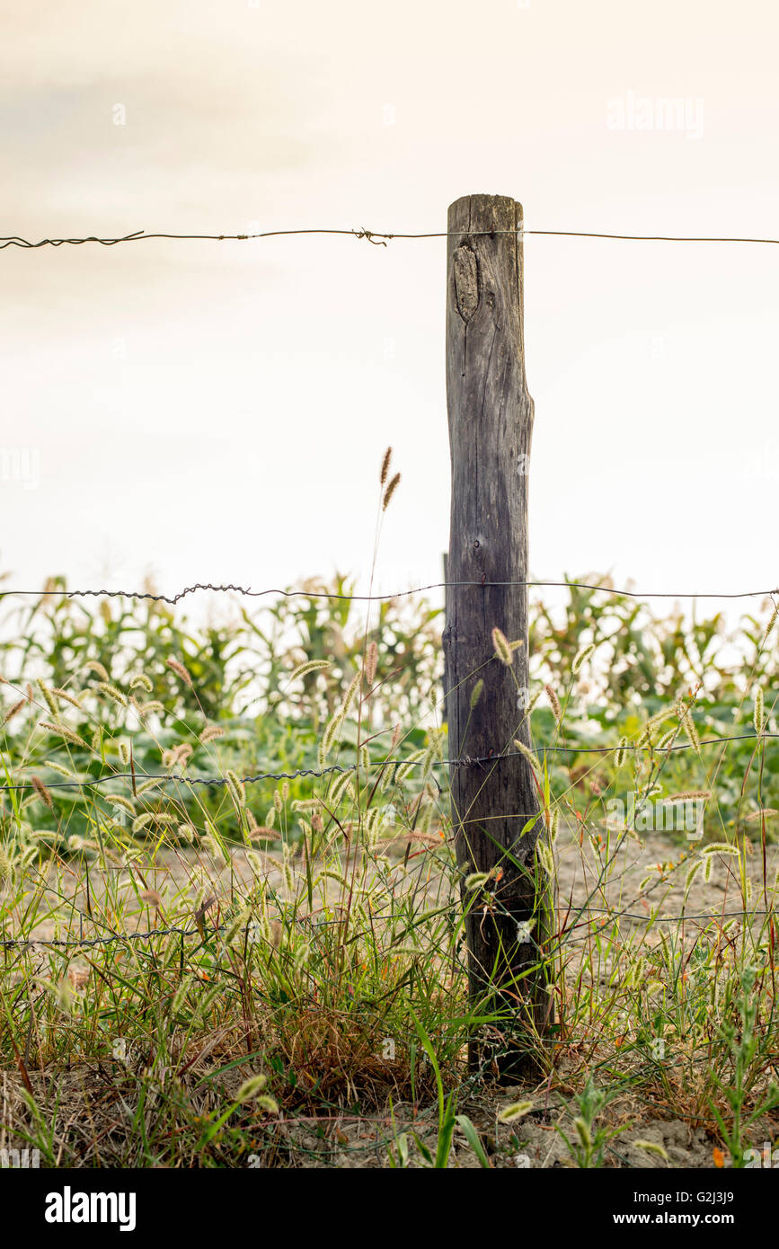 Wood Post Fence and Rural Field Stock Photo - Alamy