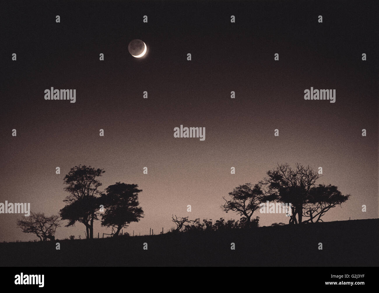 Waxing moon hi-res stock photography and images - Alamy