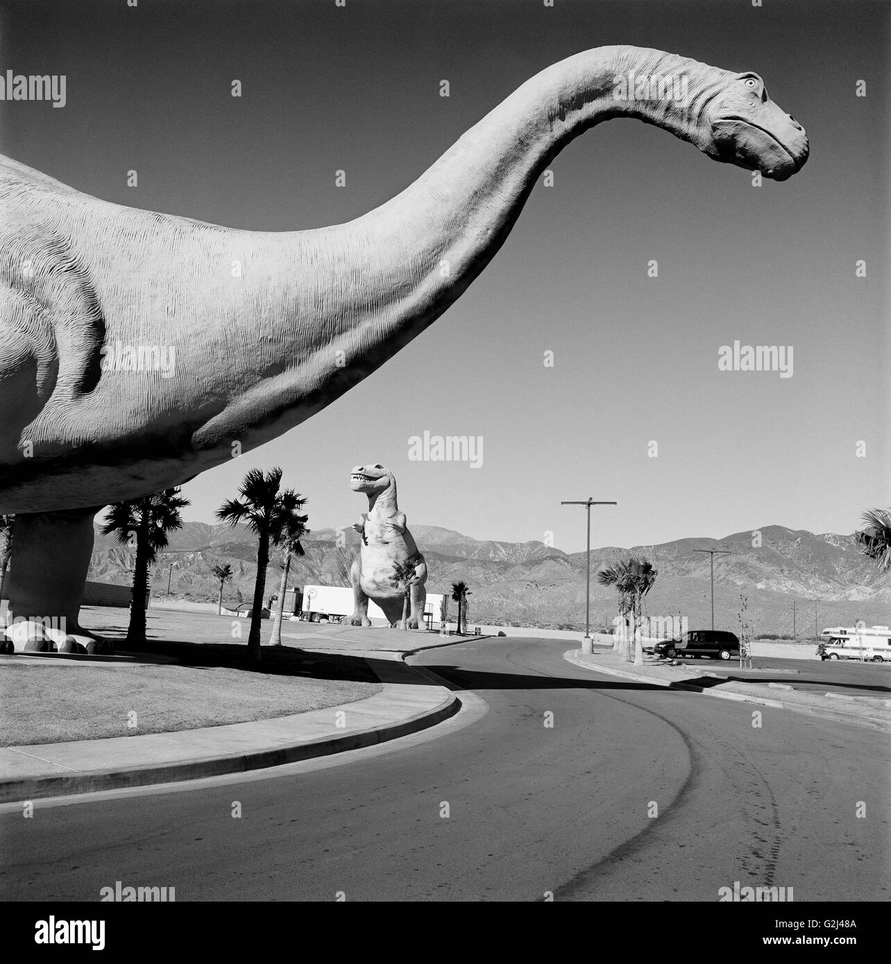 Dinosaurs Black and White Stock Photos & Images - Alamy