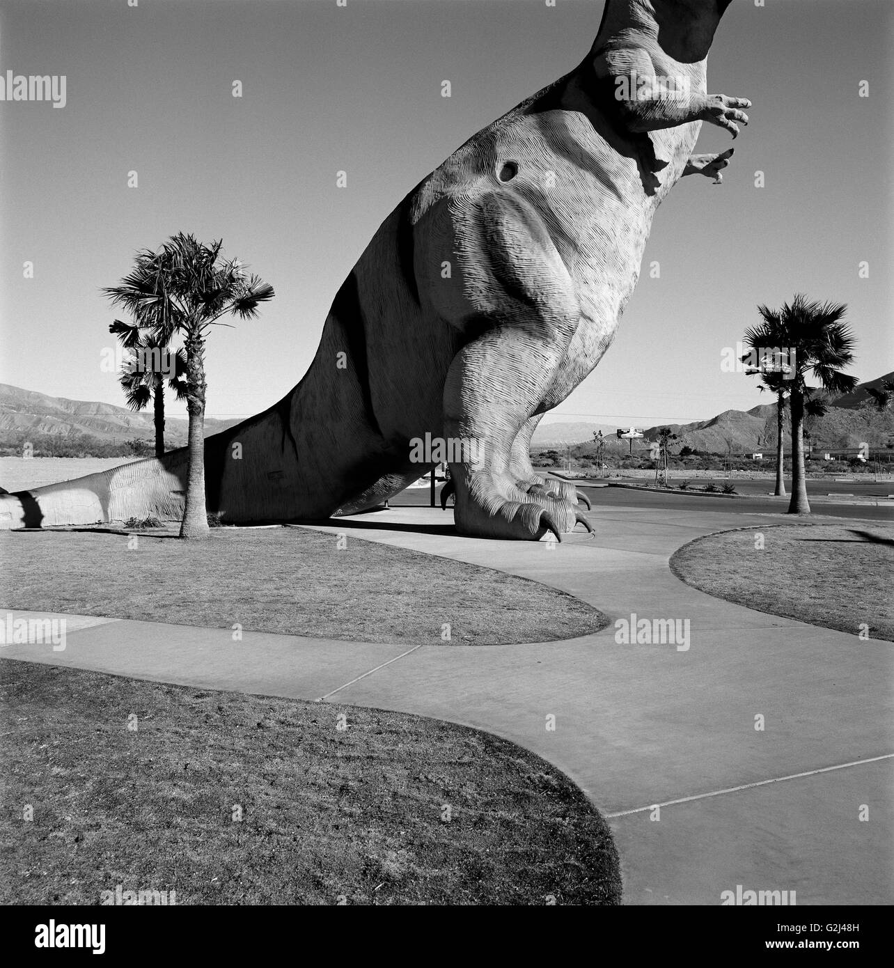 Rex wheel hi-res stock photography and images - Alamy