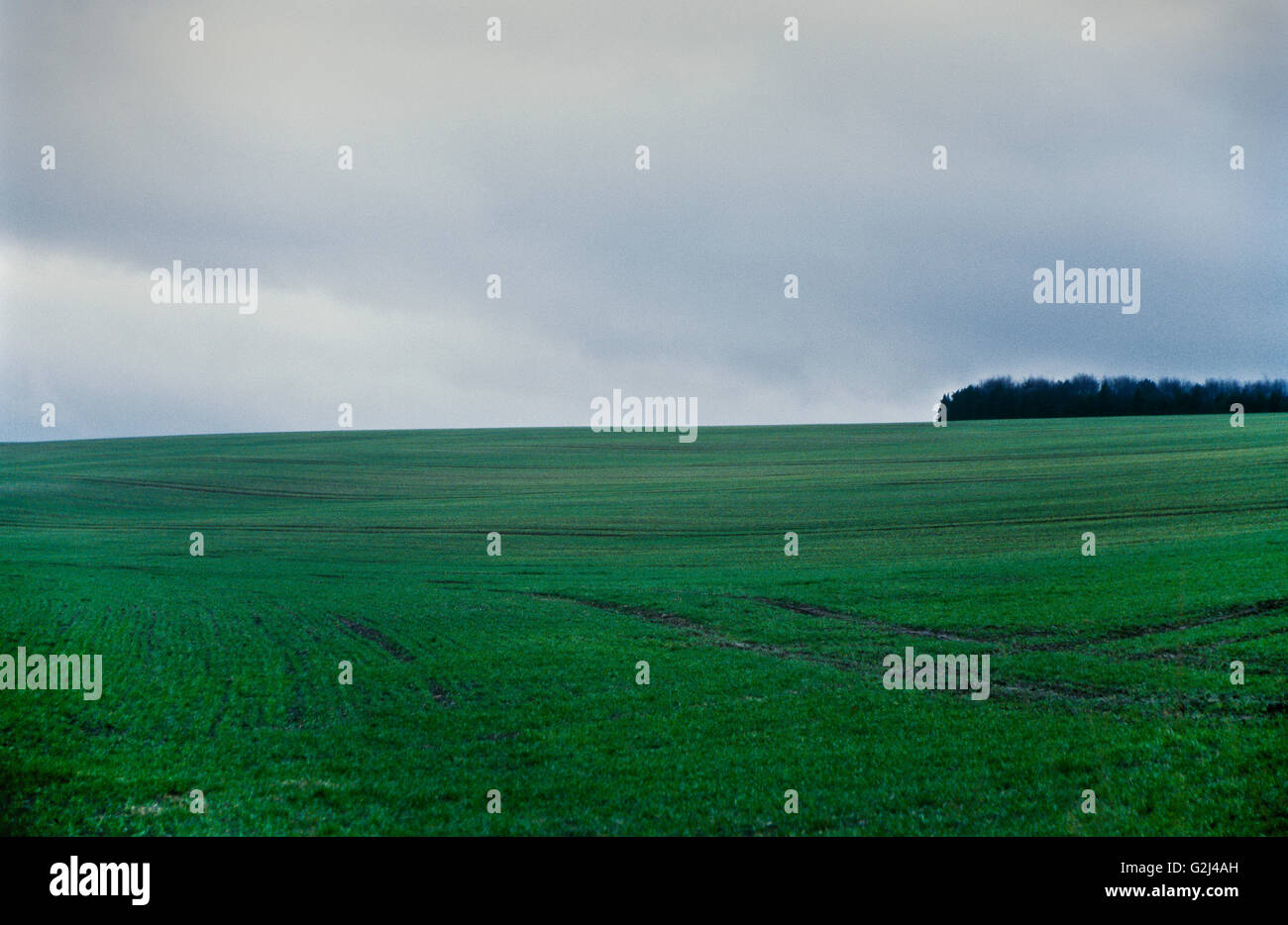 Grassy Field Under Overcast Sky Stock Photo - Alamy