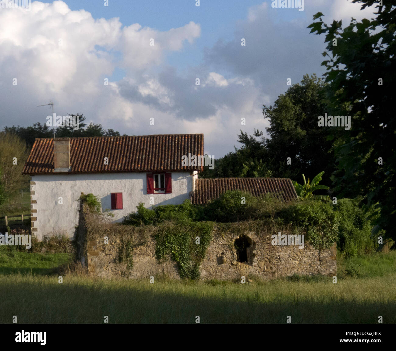 Foundation overgrown hi-res stock photography and images - Alamy