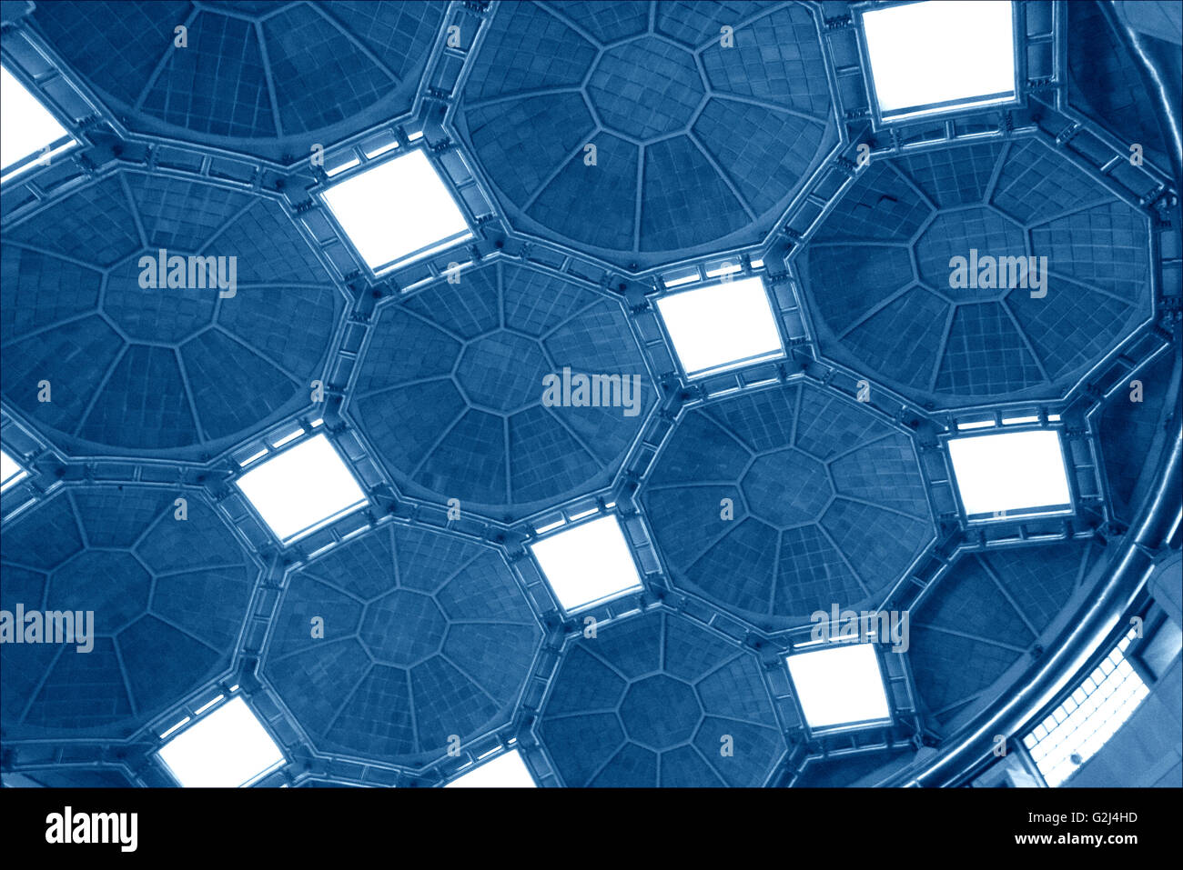 Vaulted Ceiling, Parliament Library, Delhi, India Stock Photo - Alamy