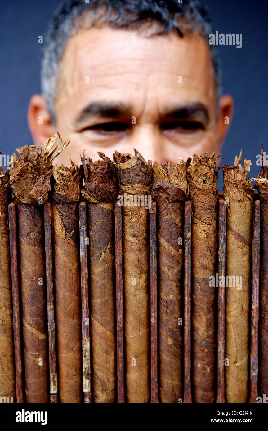 Male cigars hi-res stock photography and images - Alamy