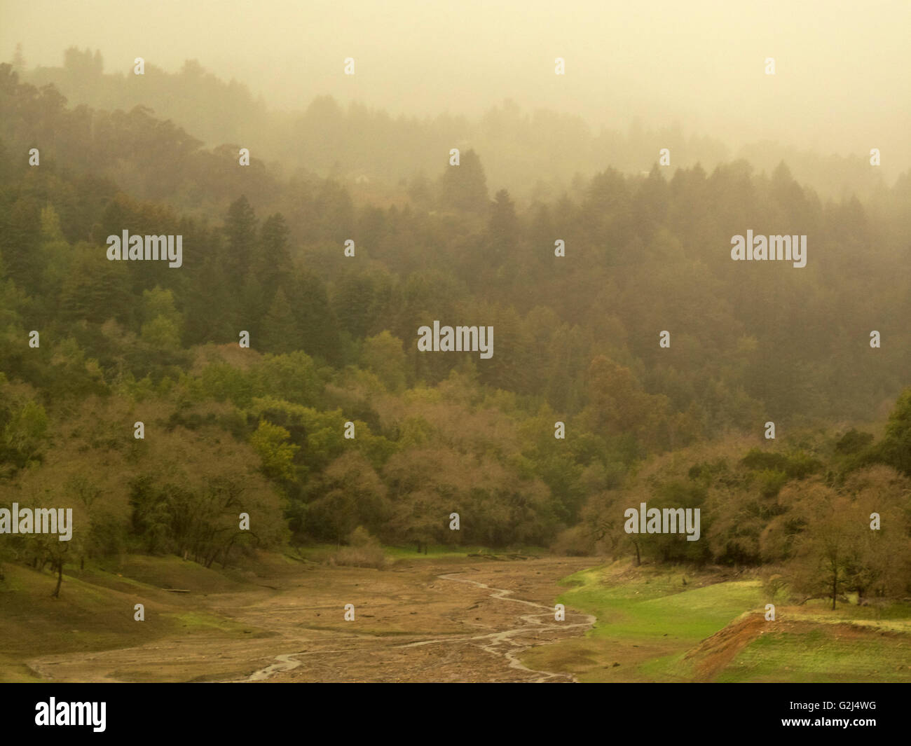 Reservoir Landscape and Trees Stock Photo - Alamy