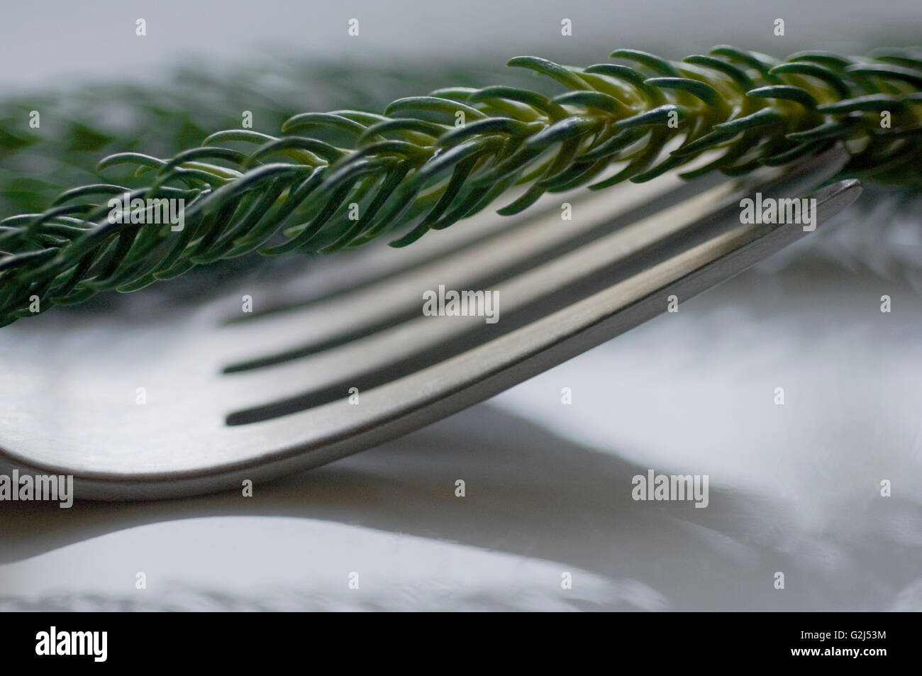 Food an a fork hi-res stock photography and images - Alamy